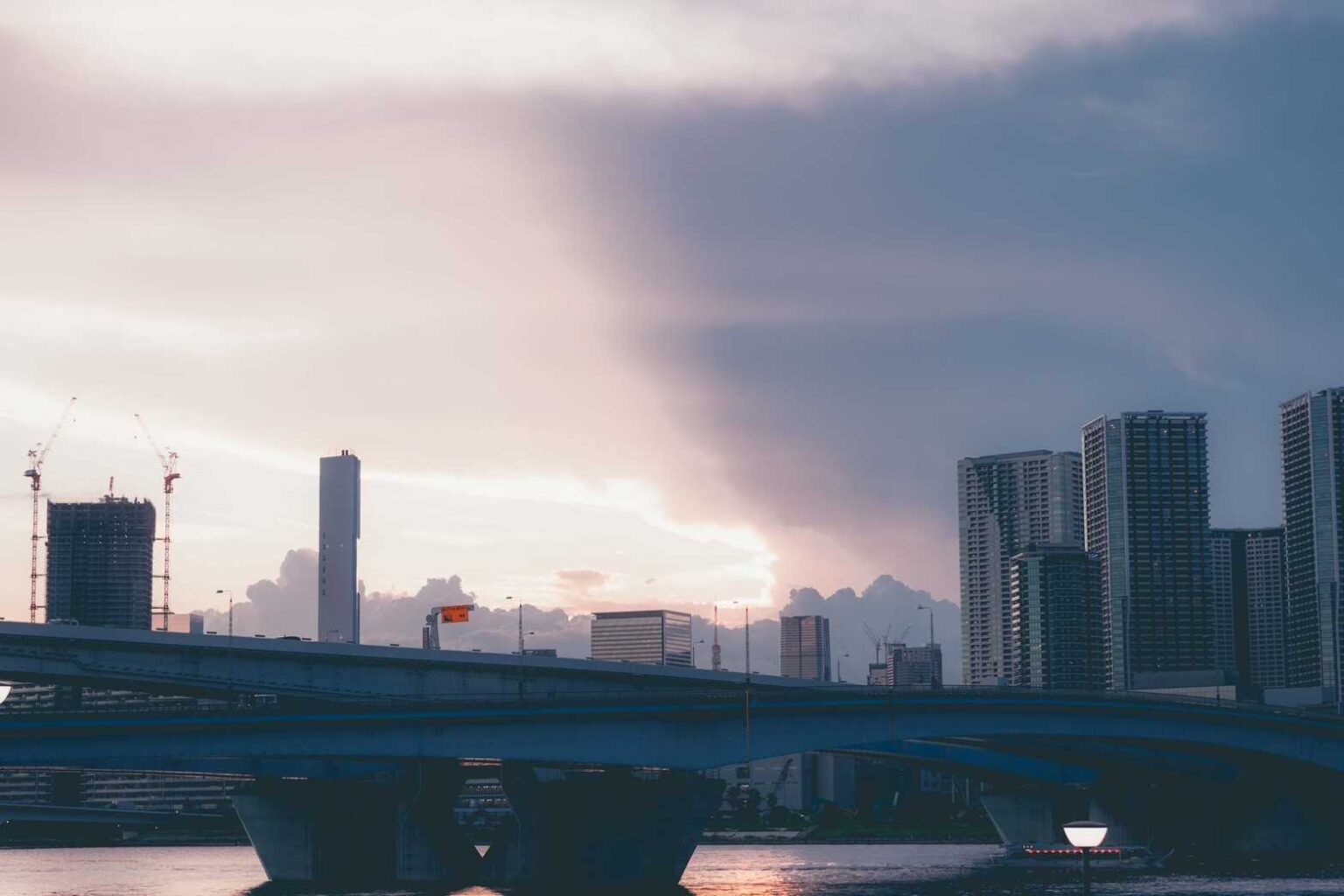 TMBCビジネス交流会 2024年8月 納涼会 開催報告 | 異業種交流会 TMBCビジネス交流会